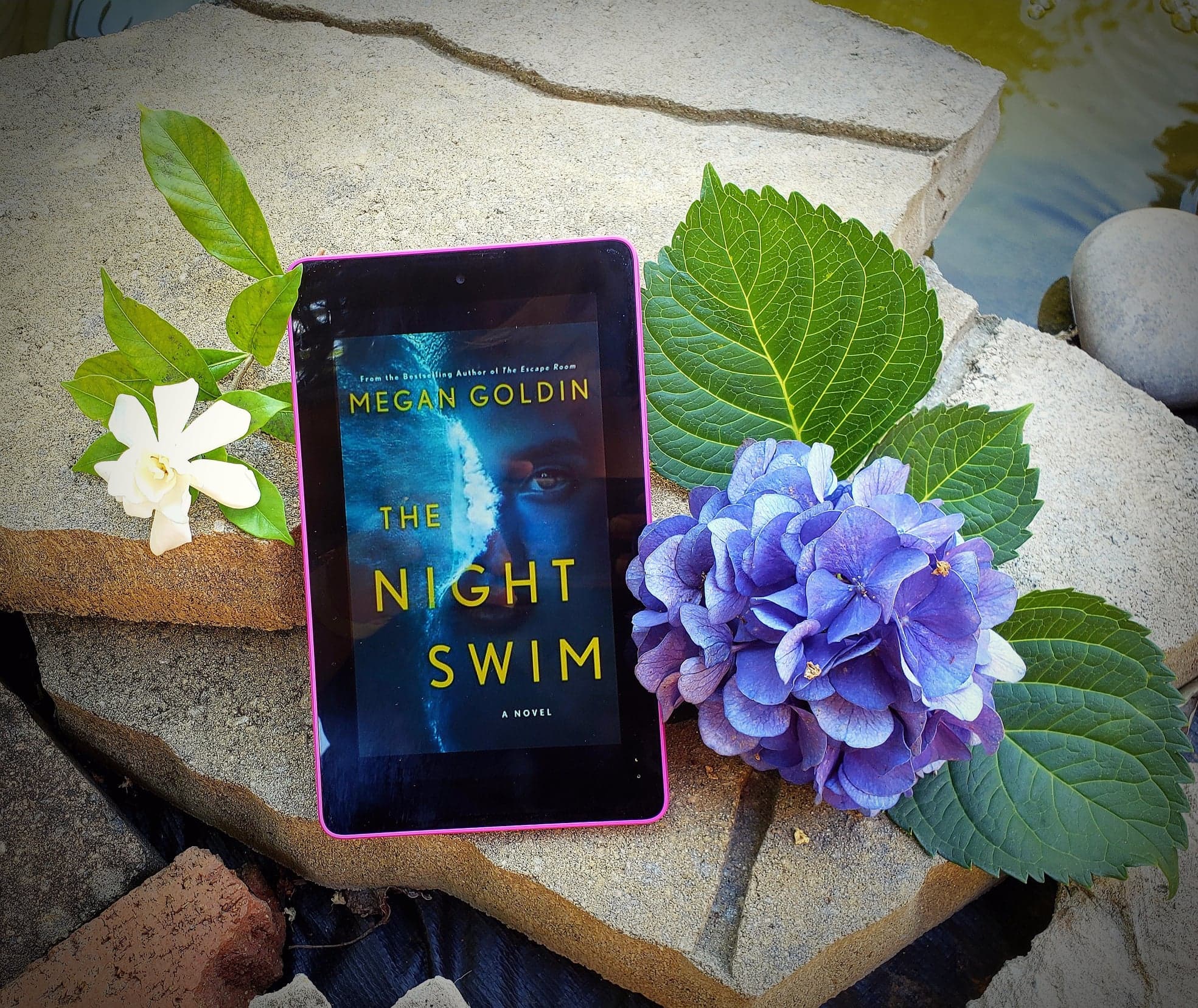 The Night Swim, by Megan Goldin – my shelf obsession
