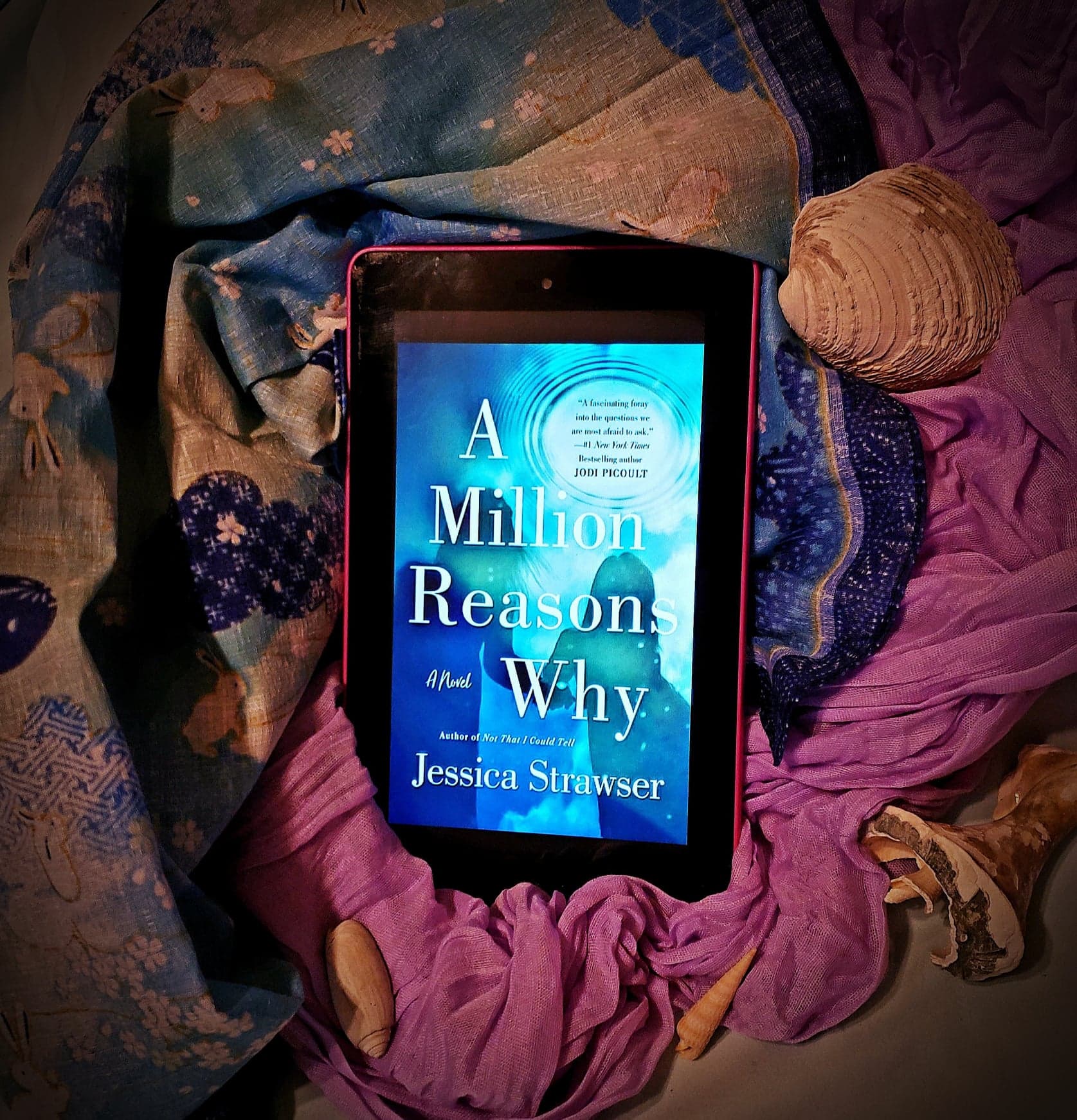 A Million Reasons Why, by Jessica Strawser – my shelf obsession